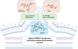 Amphiphilic nebramine analogs synergize with β-lactam/β-lactamase ...