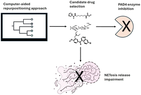 Computer-aided repositioning and functional in vitro assessment of ...