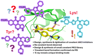 A twist in the tale: shifting from covalent targeting of a tyrosine in ...