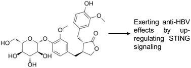 The lignan compound matairesinol monoglucoside induces type I ...