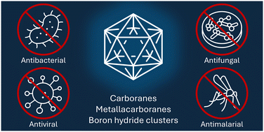 Recent advances in the antimicrobial potential of boron cluster ...