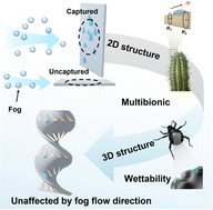 Efficient direction-independent 3D spiral fog collector - Materials ...