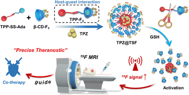 Host–guest supramolecular approach for the preparation of a 19F MRI ...