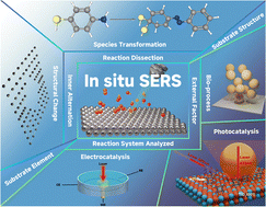 In situ SERS and in situ Raman: deciphering interfacial phenomena and ...