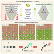 Revealing high coercivity in Nd–Fe–B with gradient rare earth-rich ...