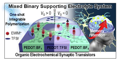 Mixed binary supporting electrolyte approach for enhanced synaptic ...