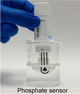 Flexible point-of-use phosphate electrochemical sensors based on ...