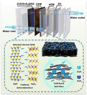 “Macro to micro” interface engineering-manipulated tin disulfide for ...