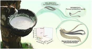 Supersensitive natural rubber-based piezoresistive pressure sensor with ...