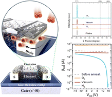 Strategic defect engineering at the buried interface for metal–halide ...