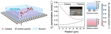 Interfacial microenvironment and catalyst modulation for efficient ...