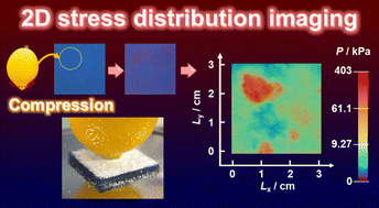2D stress-distribution imaging using 3D transparent stimulus-responsive ...