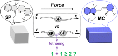 Amplification of spiropyran mechanophore activation in bulk polymers ...