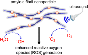 Ultrasound-based mechanochemical generation of reactive oxygen species ...