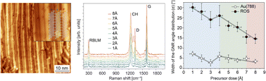The role of precursor coverage in the synthesis and substrate transfer of graphene nanoribbons ...