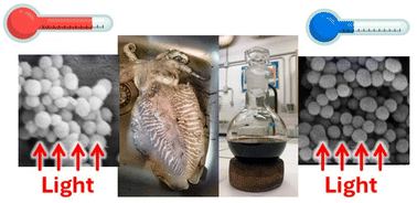 A simple method to distinguish light scattering from light absorption ...