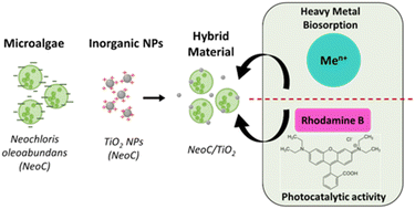 Hybrid materials for wastewater treatment: synergistic coupling of ...