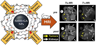 Comprehensive relaxometric analysis of Fe(iii) coordination polymer ...