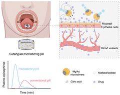 Sublingual microrobotic pills for rapid and efficient drug delivery ...