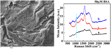 UV-SERS monitoring of plasmonic photodegradation of biomolecules on ...