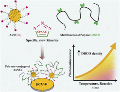 Bioorthogonal conjugation of NIR luminescent gold nanoclusters with ...