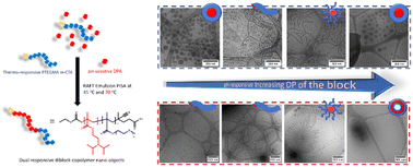 Synthesis of morphologically diverse dual thermo- and pH-responsive ...
