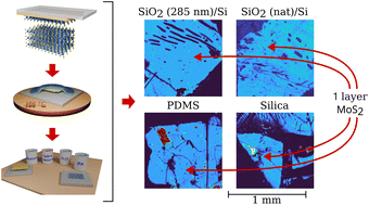 Exfoliation and transfer of millimetre-sized MoS2 flakes on arbitrary ...