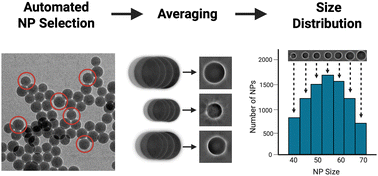 Nanoparticle characterisation via 2D classification using single ...