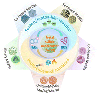 Bioactive metal sulfide nanomaterials as photo-enhanced chemodynamic ...