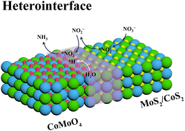 Interfacial engineering of CoMoO4@MoS2/CoS2 heterostructures for ...