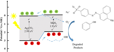 Coupling of MoS2 nanosheets into Ag2CO3 micro-blocks to strengthen ...