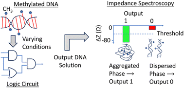 Impedance-based DNA switches for solving the Boolean logic circuit ...
