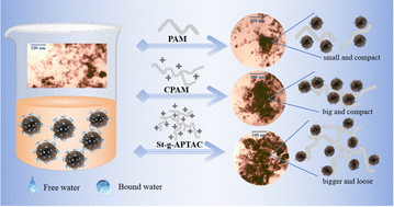 Study on the preparation and application of a novel functionalized ...