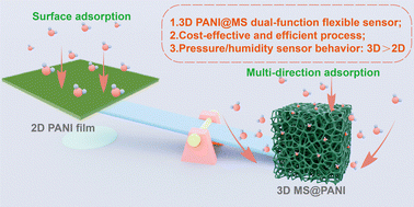 A dual-function flexible pressure/humidity sensitive sensor based on a ...