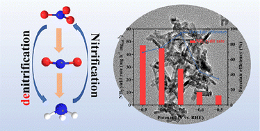 CuO nanorods for high-efficiency nitrate electroreduction to ammonia ...