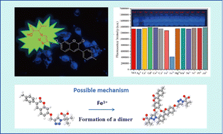 A new water-soluble coumarin-based fluorescent probe for the detection of Fe3+ and its ...