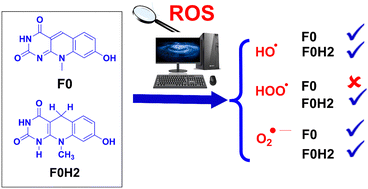 Modeling the antioxidant behavior of F420 coenzyme: a computational ...