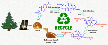Synthesis of polyrosin-based epoxy resins catalyzed by Lewis-acidic ...