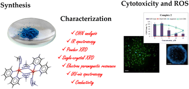 Copper(ii) complexes based on 5-methyl-1H-tetrazole and 2,2′-bipyridine ...