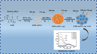 Detection of gatifloxacin by a ratiometric fluorescent probe based on Ag+ ion triggered ...