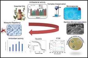 Eco-friendly medical textiles: bamboo fabric functionalized with ...