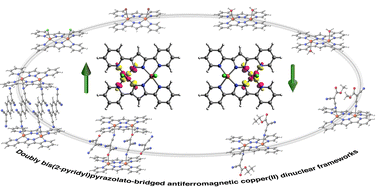 Magnetic superexchange couplings in doubly bis(2-pyridyl)pyrazolato-bridged dinuclear copper(ii ...