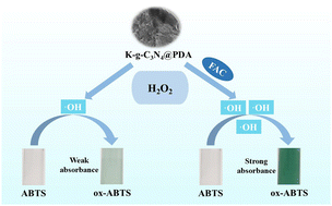 K-g-C3N4@PDA nanozyme for the colorimetric detection of ferric ammonium ...