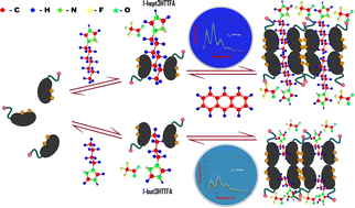 Biophysical analysis of triazolium-based protic ionic liquid ...