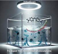 Facile synthesis of Fe-doped TiO2 hollow fibers for photocatalytic ...
