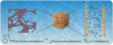 Adsorbing nanoplastics through high-resilience lignin–polyurethane foam ...