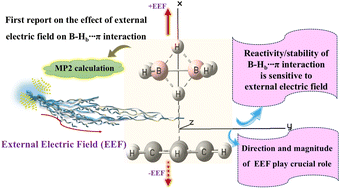 Can external electric field influence the B–Hb⋯π interaction? a ...