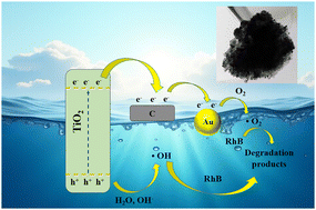 H2O2-reduction synthesized Au nanoparticles anchored on Ti3C2Tx MXene ...