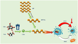 Enhanced photochemical therapy of cancer cells using carbon dots ...