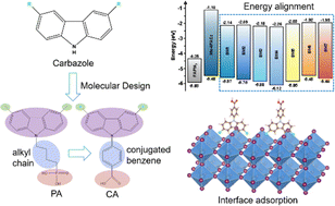 Theoretical investigation on carbazole-based self-assembled monolayer hole transport materials ...